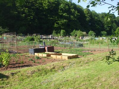 Photo 12x8 Allotments, Morganstown Alongside Ffordd Treforgan c2010 ...