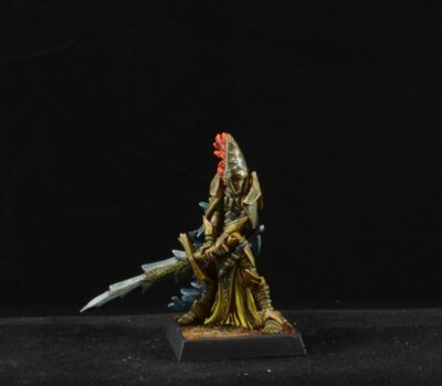 Painted Dark Elf Champion from Reaper Miniatures male D&D character ...