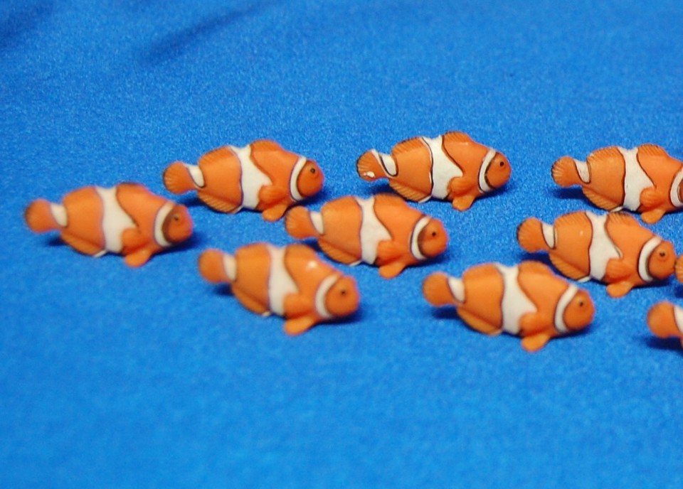 8 Mini Clown Fish Favors Mini Good Luck Clownfish Favors Safari Ltd | eBay