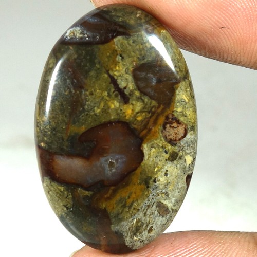 100% Natural Fossil Colus Agate Oval Cab Loose Gemstones 31.80Cts 21x ...