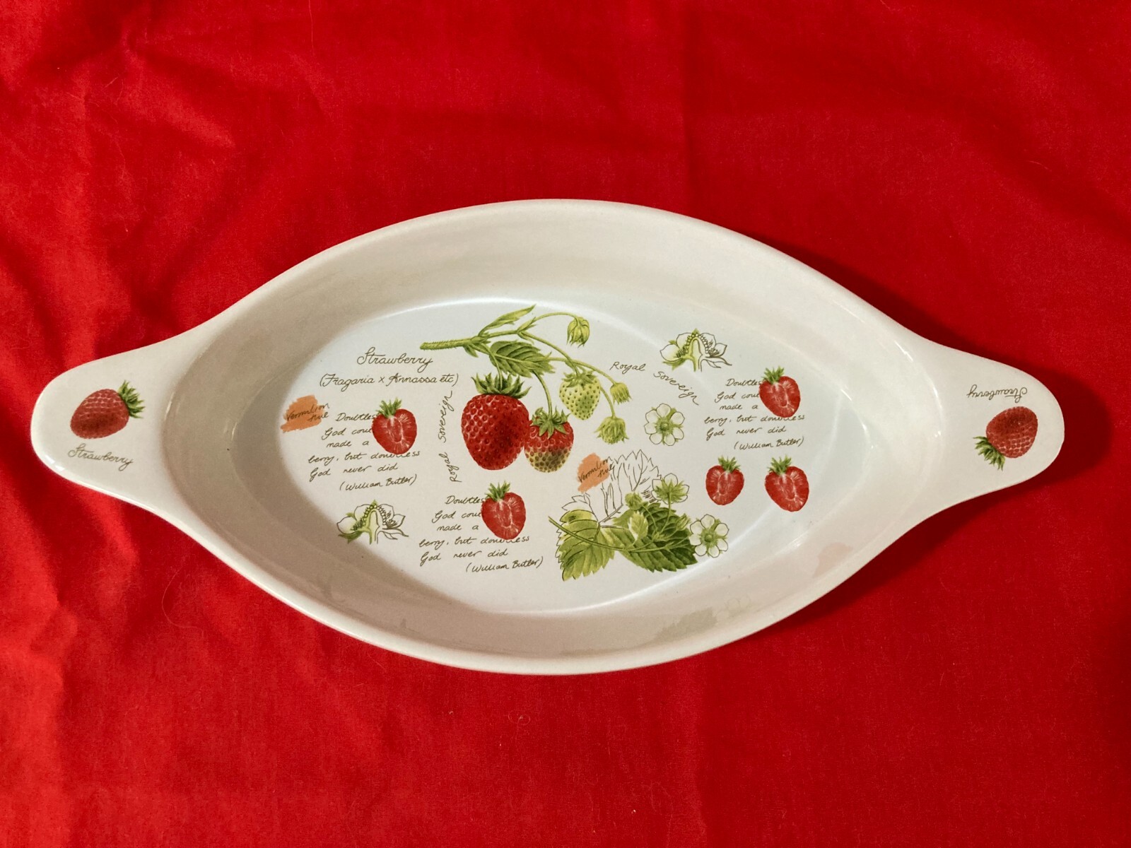 Kent Pottery New Fruit Collection Strawberry Oval serving Dish 10 1/4 ...