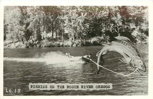 RPPC Postcard Fishing Exaggeration Huge Salmon on Rogue River OR ...
