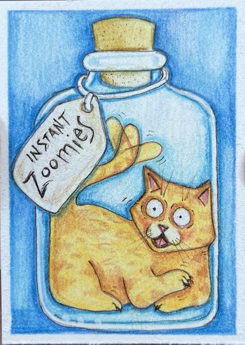 ACEO Original Art Card Cat Zoomies Bottle Drawing Mixed Media Ademade ...