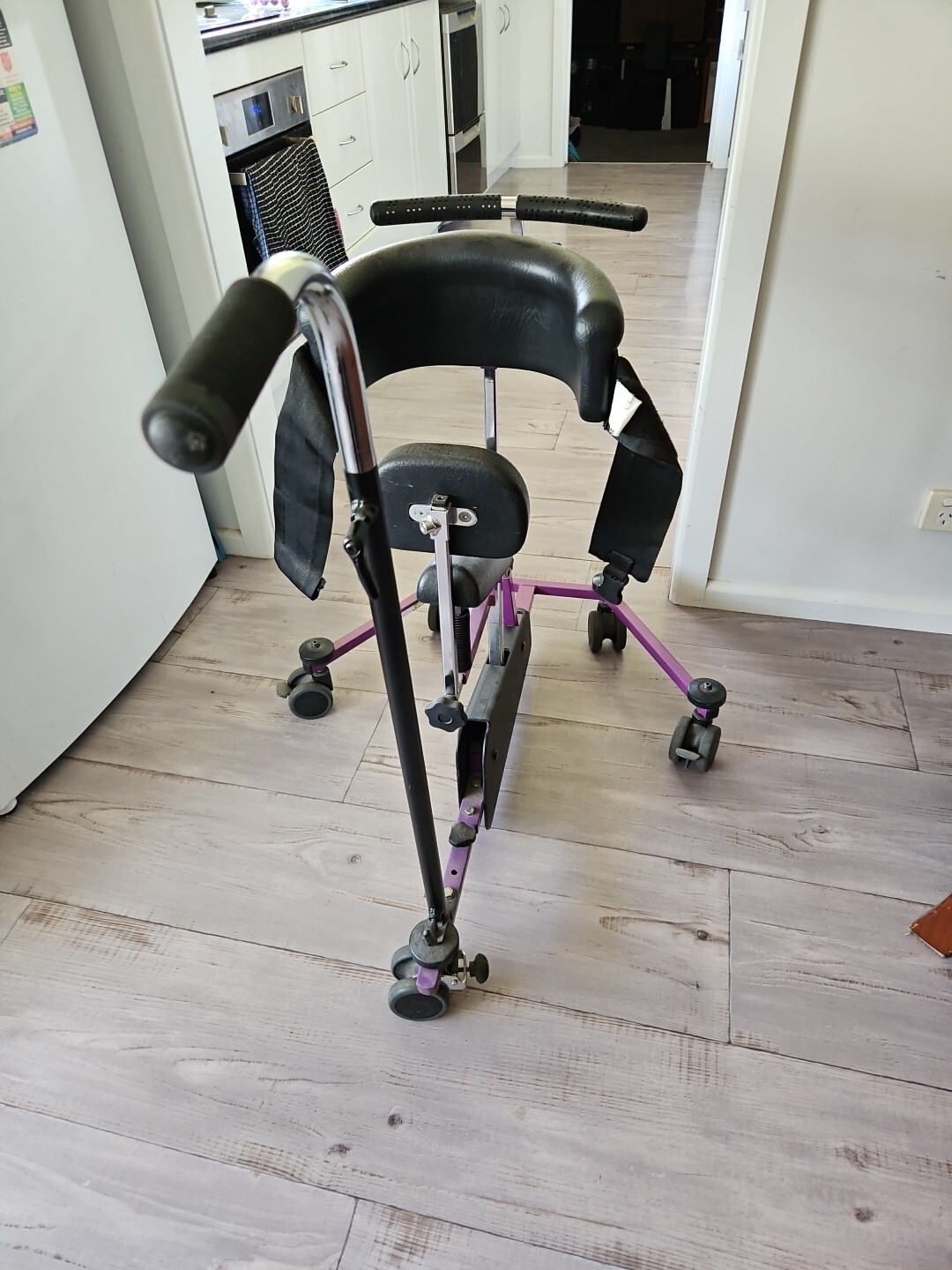 Pony Standing/walking Frame | eBay