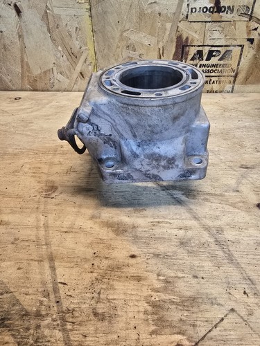 03-06 Arctic Cat Cylinder 95B0 500 cc F5 Firecat Sno Pro *CORE* | eBay