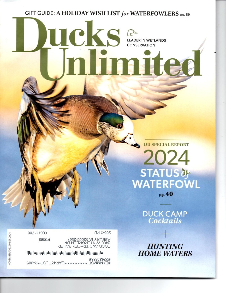 Ducks Unlimited Magazine Duck, Duck, Goose | University Of Puget Sound