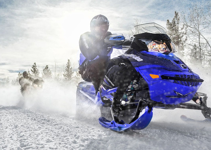 Blue Skull Ski-Doo Bombardier BRP Shock Protector Covers Snowmobile ...