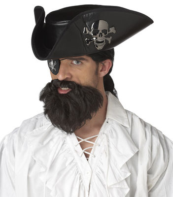 Pirate Captain Hook Moustache & Beard Adult Costume | eBay
