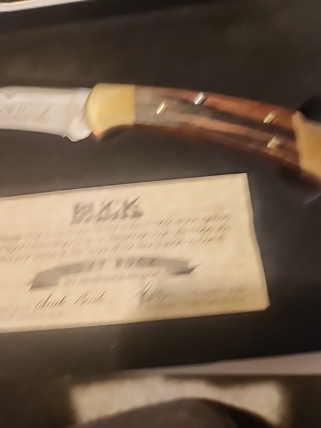 Hoyt Buck 112 Single 1 Blade Founder's Edition POCKET KNIFE w/sheath in ...