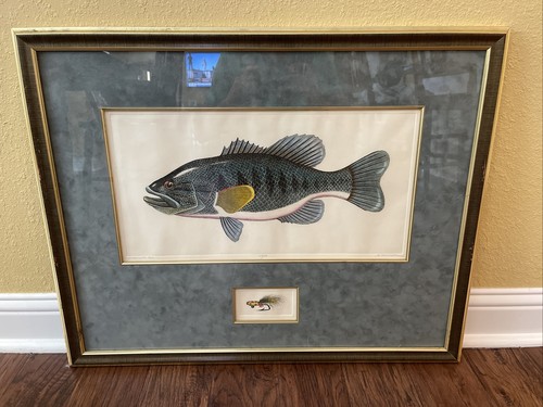 Dan Mitra Signed Numbered Limited Edition Largemouth Bass Print Framed ...