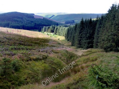 Photo 6x4 Cat Sike Eweslees Knowe View looking down Cat Sike on ...
