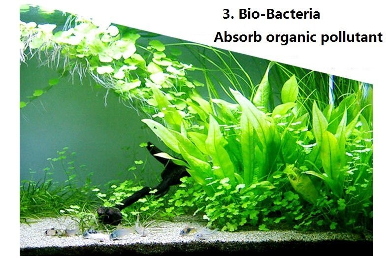Plant Growth Substrate Additives Plant Tank Bacteria Clear Aquarium ...