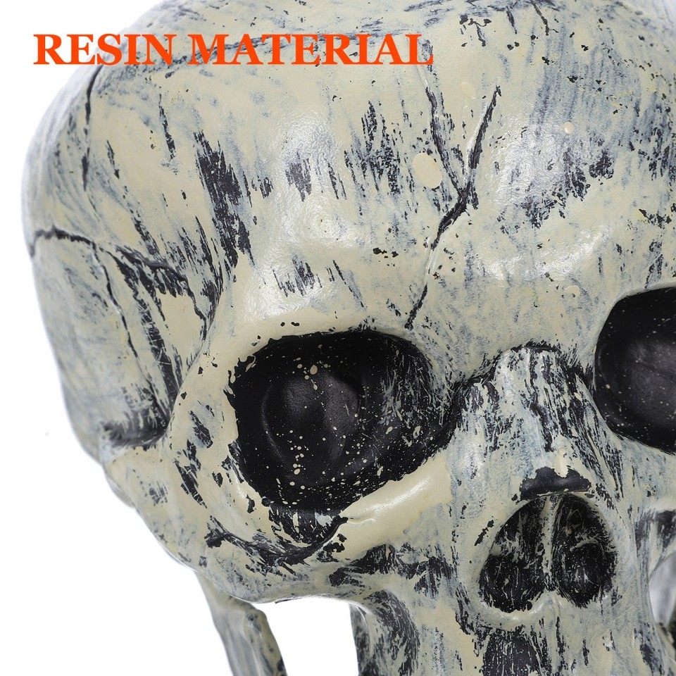 Fake Resin Skull with Moveable Jaw Halloween Decoration for Party ...