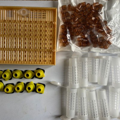 131 Pcs Budget Queen Rearing Cup Kit Stater 100 Cell System -Beekeeping ...