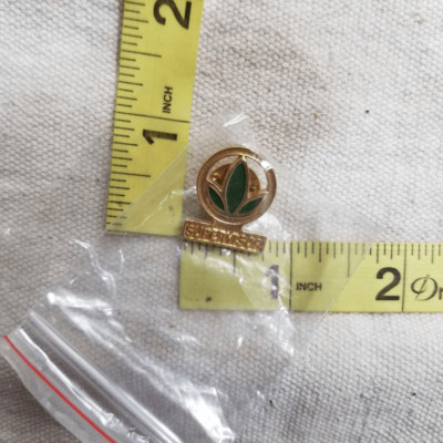 Herbalife Supervisor vintage lapel pin 199 | eBay