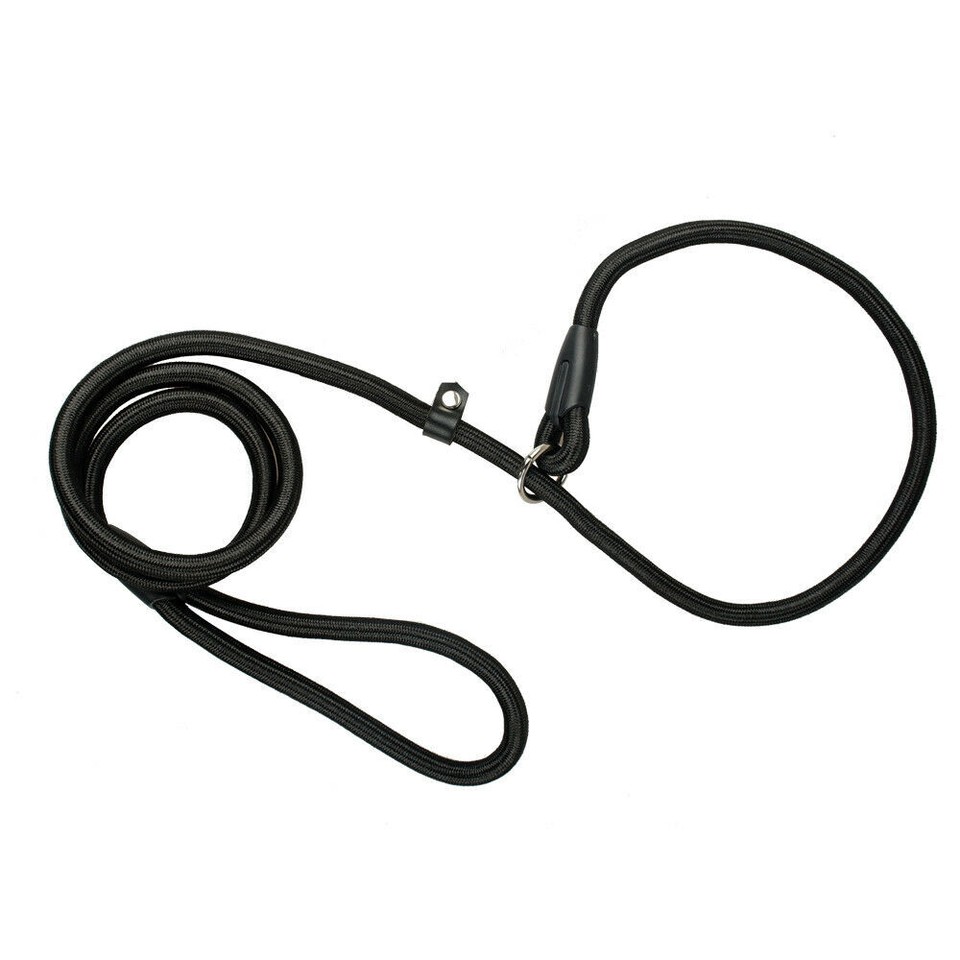 Durable Nylon Slip Lead Dog Leash Adjustable Pet Puppy Training Collar ...