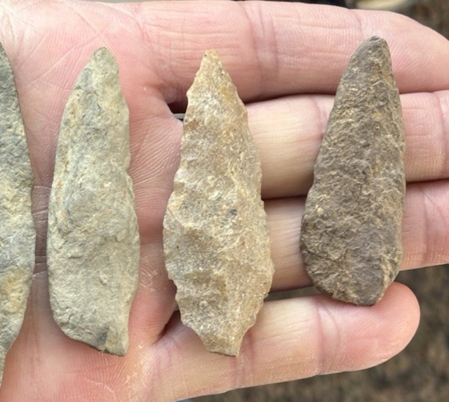 6 Nice Native American Arrowheads/Points & Drill Gloucester Co. | eBay