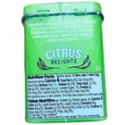 Citrus Delights Key Lime Candy Pastilles 2 Tins Sweet Tart Lime Treats ...