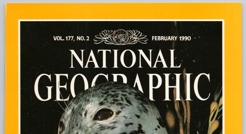 1990 Keebler Magic Middles Cookie Vintage Print Ad 90s Retro Wall Art ...