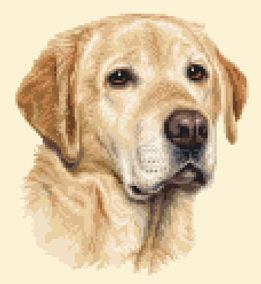 YELLOW LABRADOR RETRIEVER dog, pup Full counted cross stitch kit *Jann ...