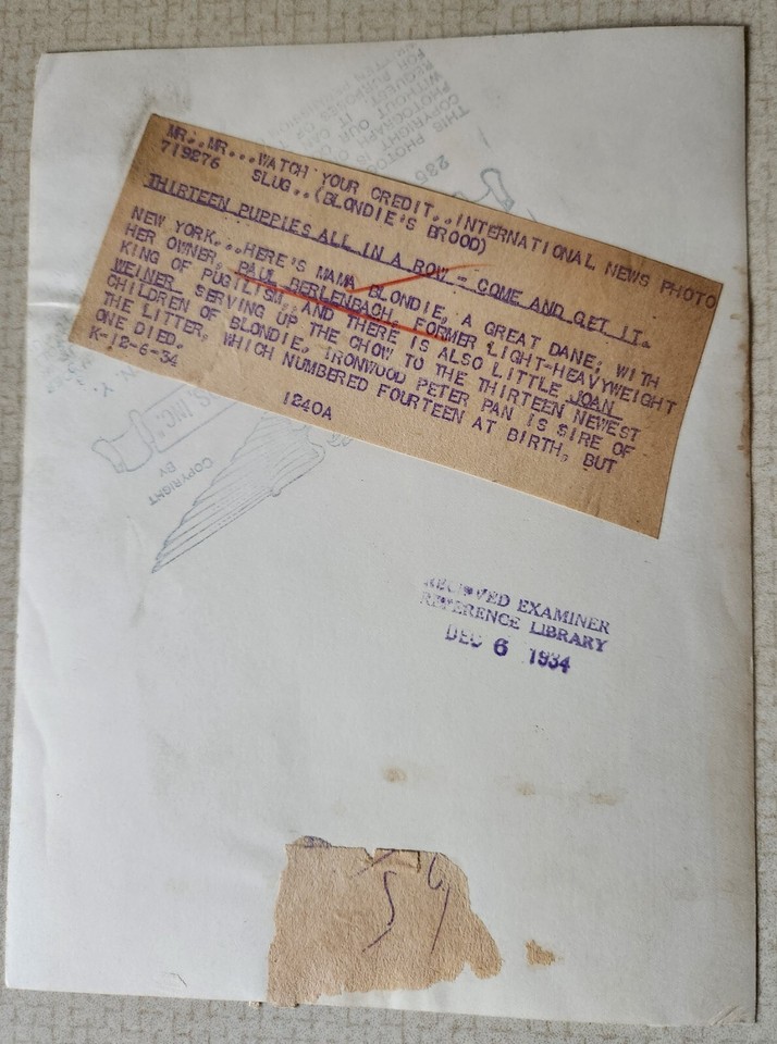 Type 1 Boxing Photo: 1934 Paul Berlenbach With Pet Great Dane & New ...