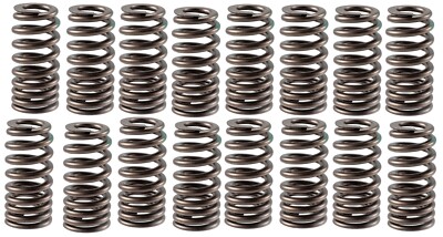 VALVE Springs Set/16 for 2010-2014 Ford F150+2011-15 F250/F350 Super ...