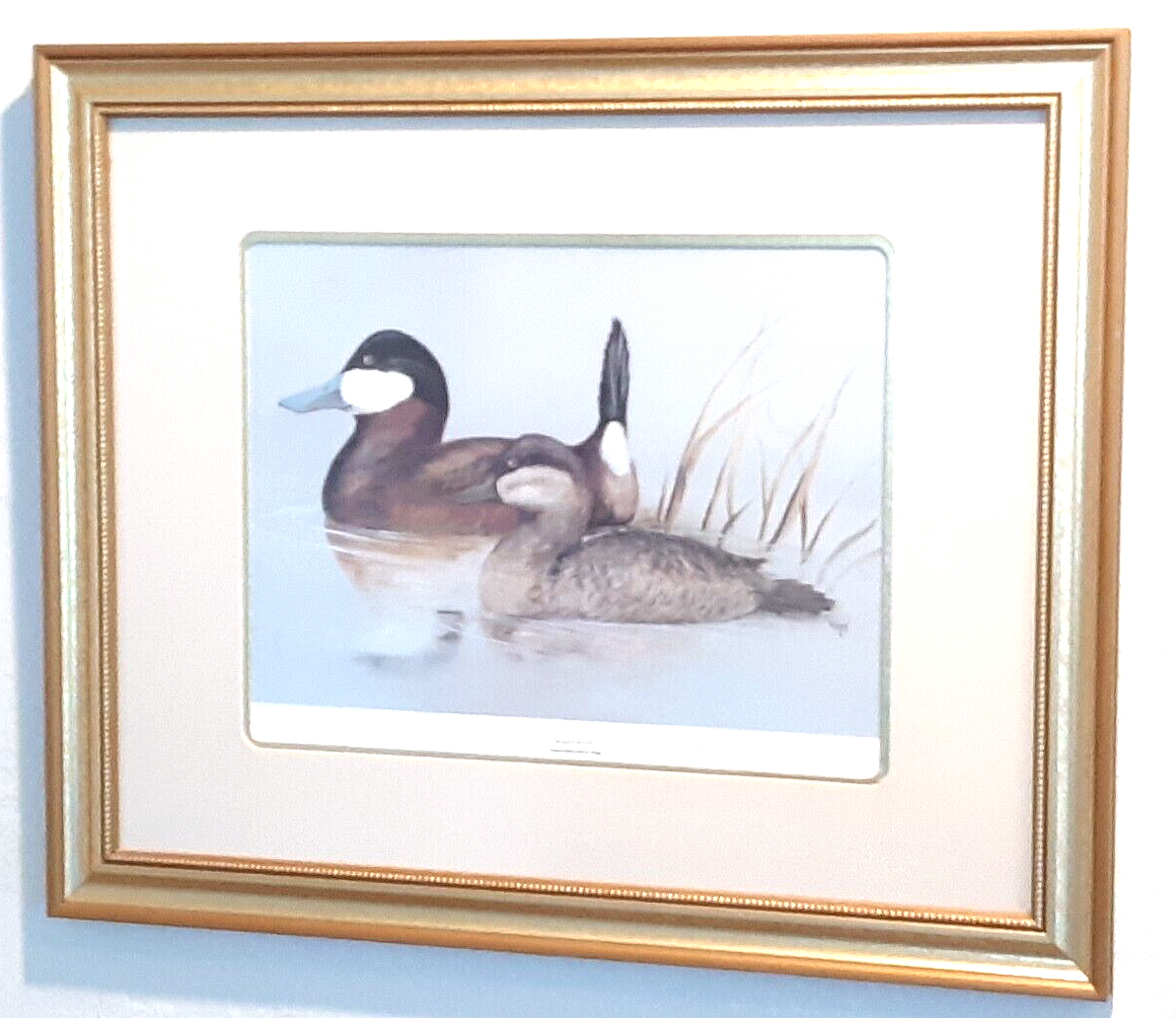 Rare PAT WHIPP Signed Limited Edition Print RUDDY DUCKS ~ #178 of 750 ...