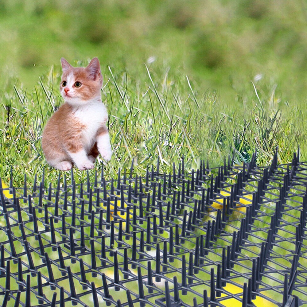 2m Cat Scat Spike Garden Anti-Cat Dog Pest Deterrent Mat Repellent ...