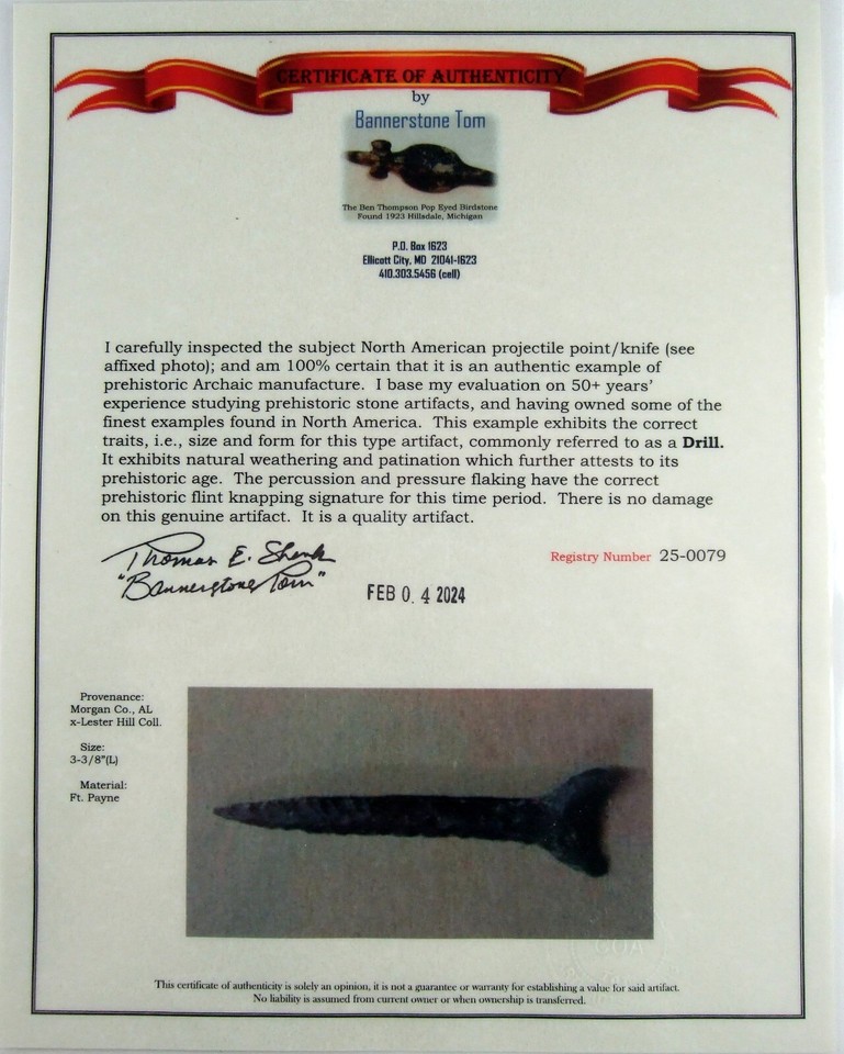 Super Fine Museum Quality Alabama Wheeler Paleo Drill with COA ...
