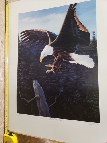 Gray Kremen Symphony on Canvas Bald Eagle Art Print Poster | eBay