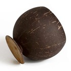 1X Kitchen Coconut Shell Cup Tableware Drink Water Milk Coffee Beer ...