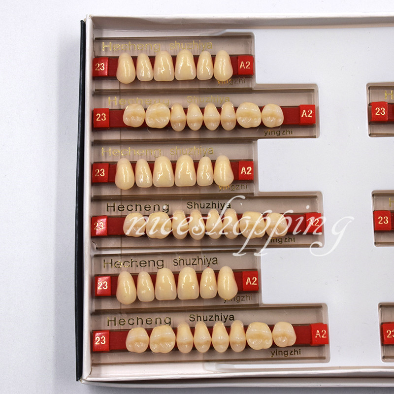 Dental 3 Set of 84*1 Acrylic Resin Denture Teeth VITA Color A2 Upper ...