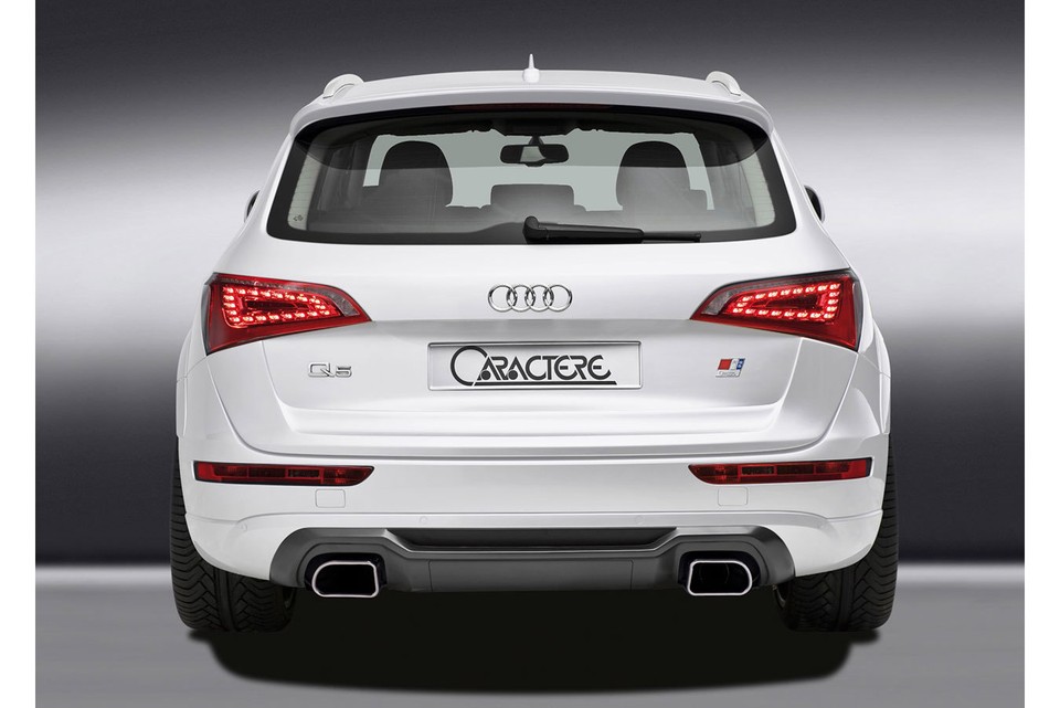 CARACTERE TAIL GATE ADD-ON fit Audi Q5 SQ5 | eBay
