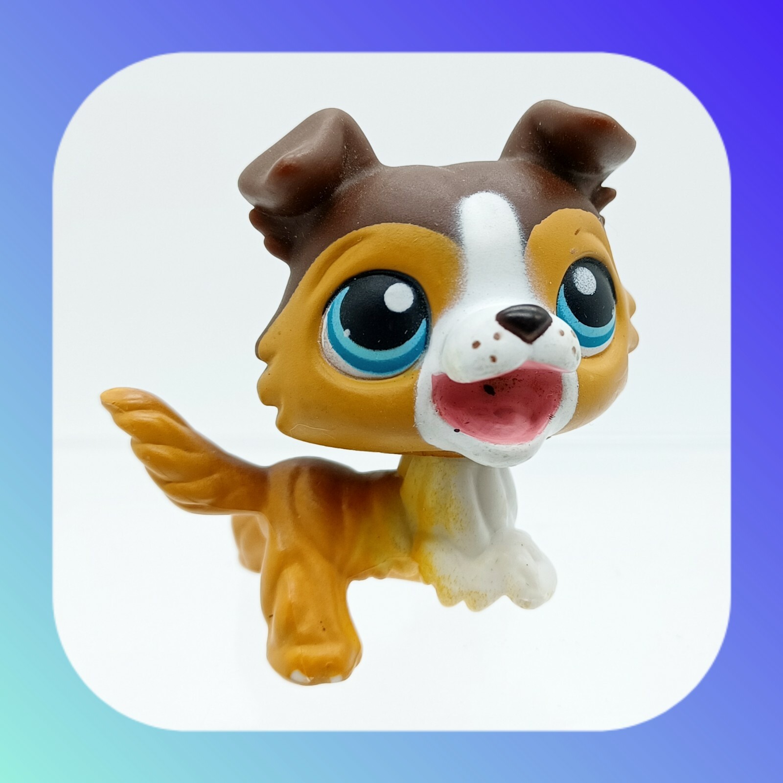 How Do Lps Real Collie Looks