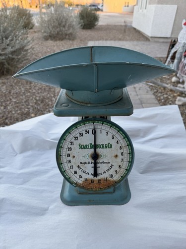 Vintage Turquoise Sears Roebuck & Co. 1906 Model Kitchen Farm Scale ...