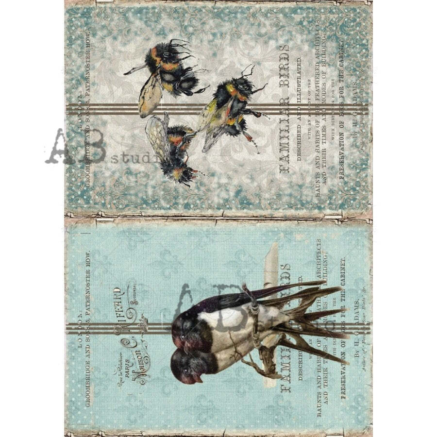 Birds & The Bees | A4 Rice Paper | AB Studios | Paper for Decoupage and ...