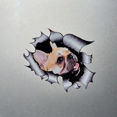 Cute French Bulldog Ripped Open Metal Vinyl Sticker Decal For Car Van ...