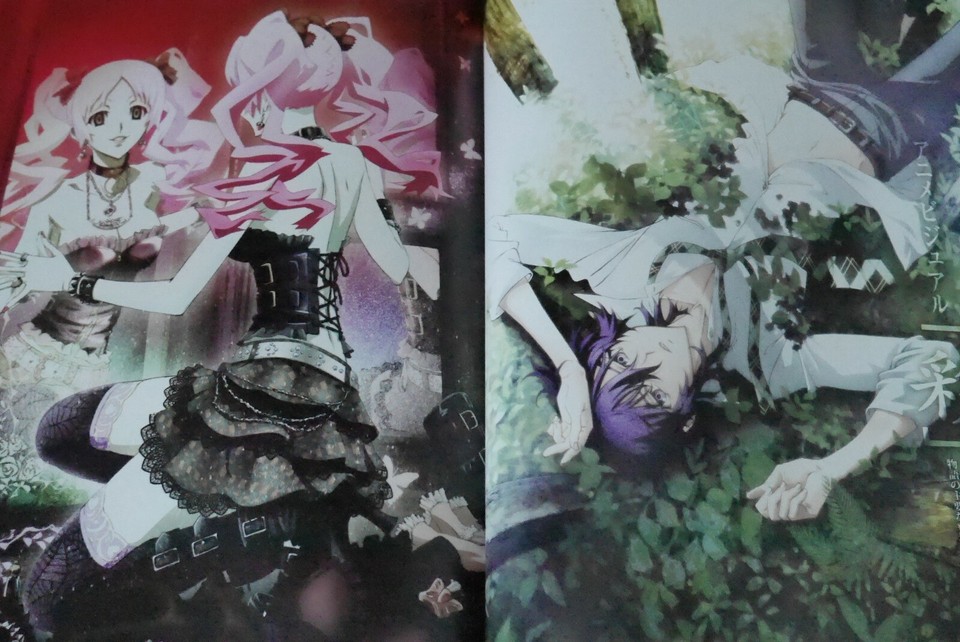 JAPAN Ryu Fujisaki & Fuyumi Ono: Shiki Visual Works (Book) | eBay