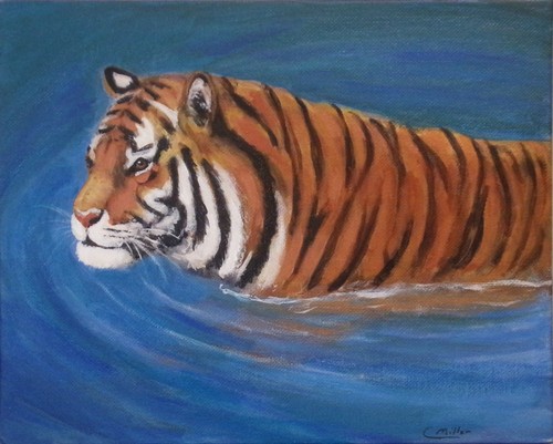 Tiger Original Painting by Chris Miller 8x10 Big Cat Wildlife Animal ...