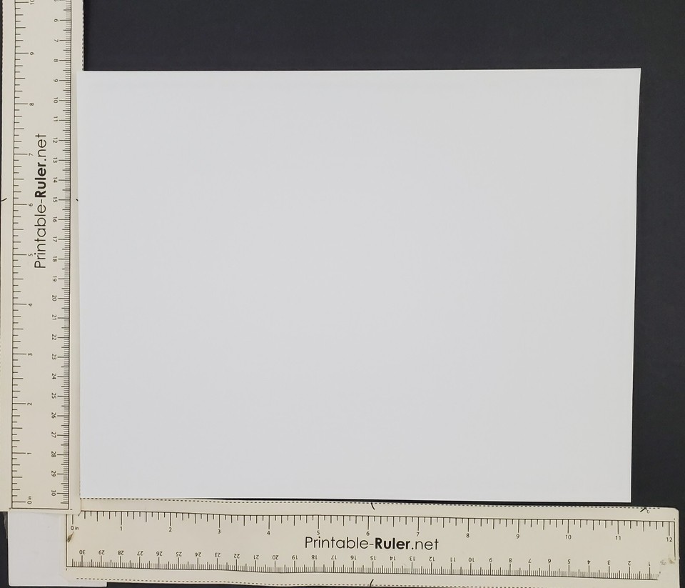 Ardmore OK Pro Rodeo Clown Skipper Voss Bullfighter Bull Reprint Of ...