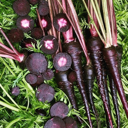 Black Nebula Carrot Seeds 150+ Vegetable Garden NON-GMO USA FREE ...