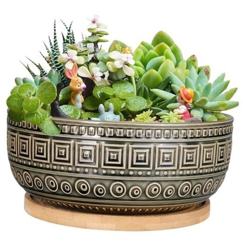 8 Inch Ceramic Succulent Planter Pots Round Shallow Bonsai Planter Pot ...