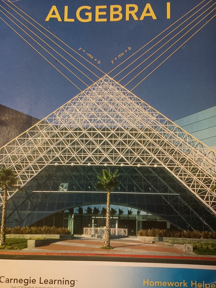 Algebra I Homework Helper M11 | eBay