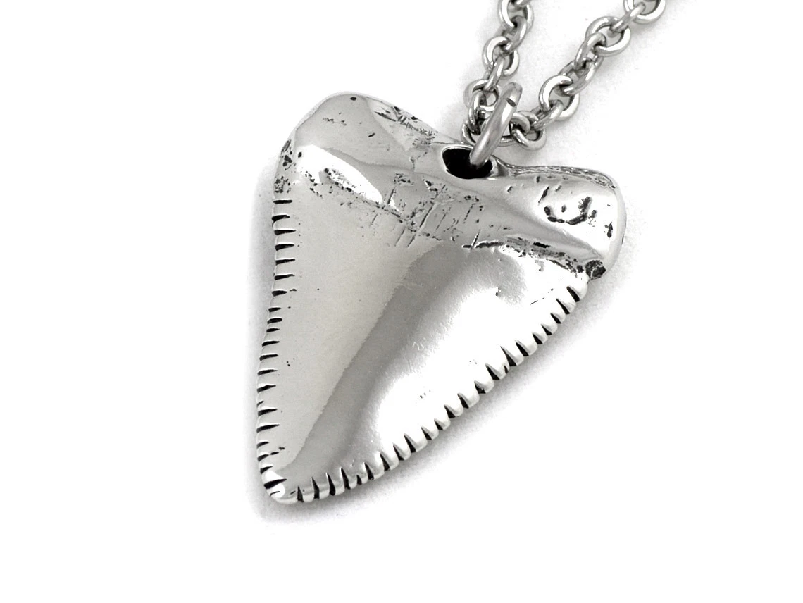 Real Great White Shark Tooth Necklace