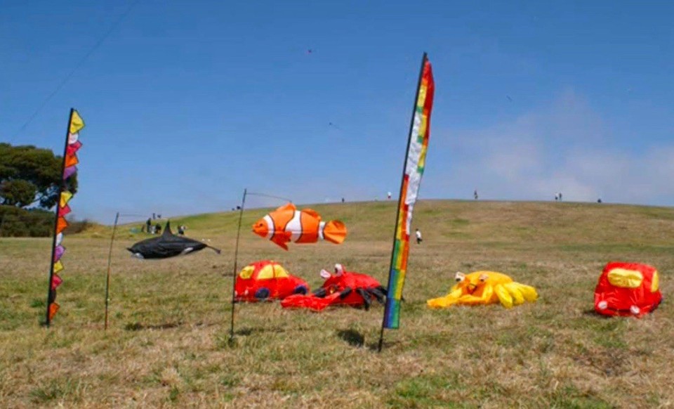 27” Goldfish Clown Fish Windsock on 4’ sectioned pole flag kite laundry ...