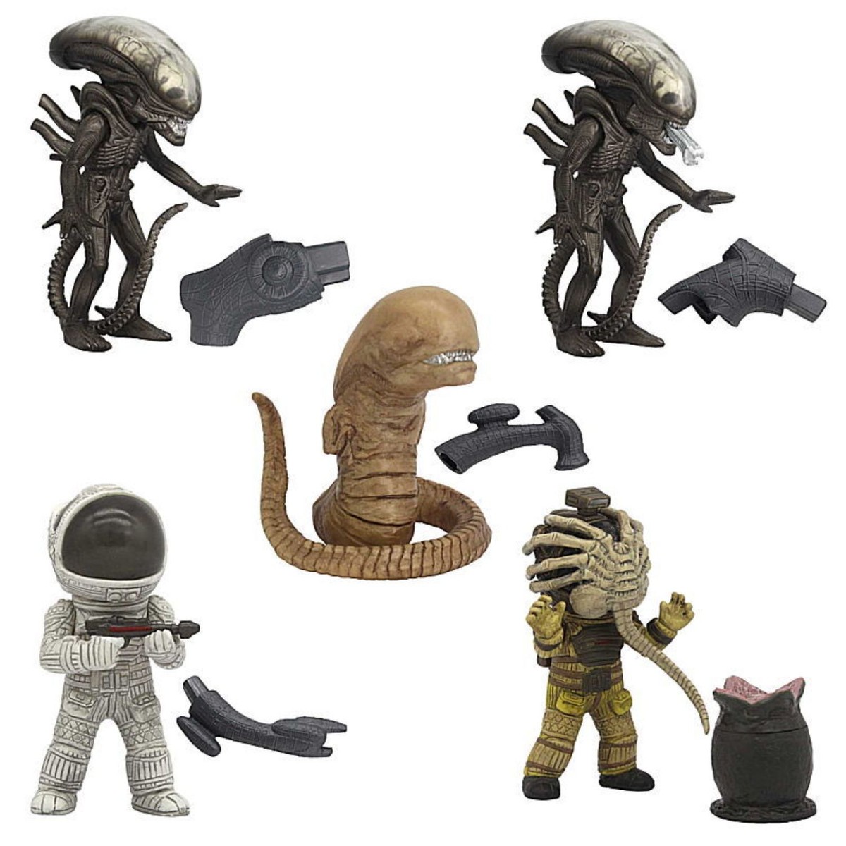 Xenomorph Types