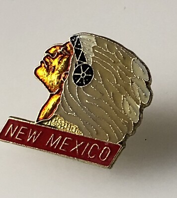 Vintage NEW MEXICO NATIVE AMERICAN INDIAN LAPEL PIN 0.75”x 0.75” | eBay