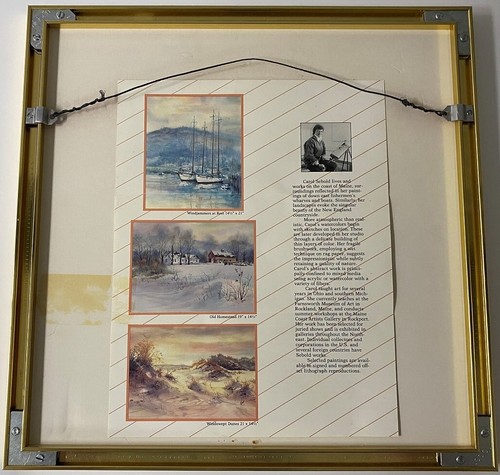 SIGNED Carol Sebold ORIGINAL watercolor PAINTING ~ NOT A PRINT | eBay