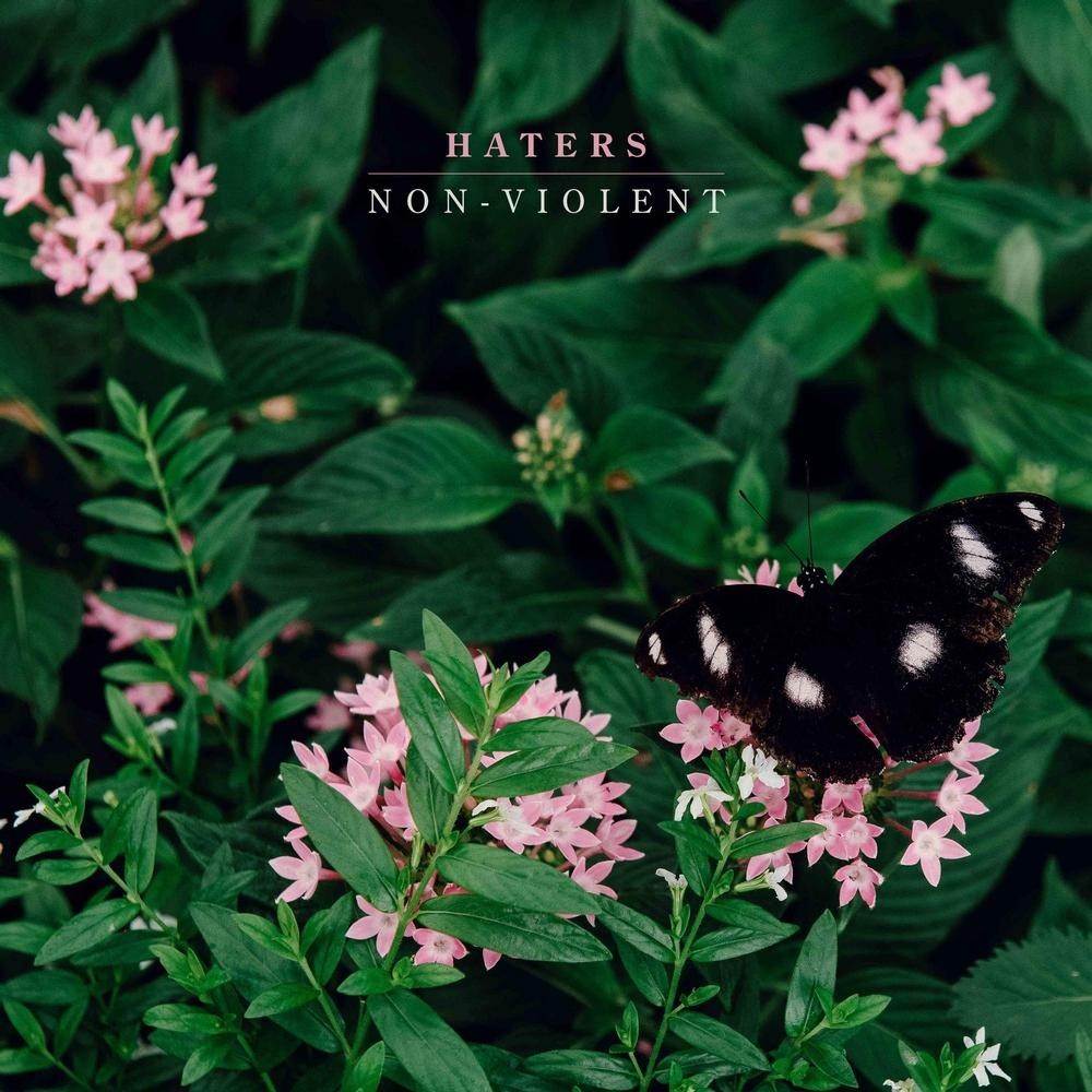 Haters - Non-Violent Vinyl LP | eBay Australia