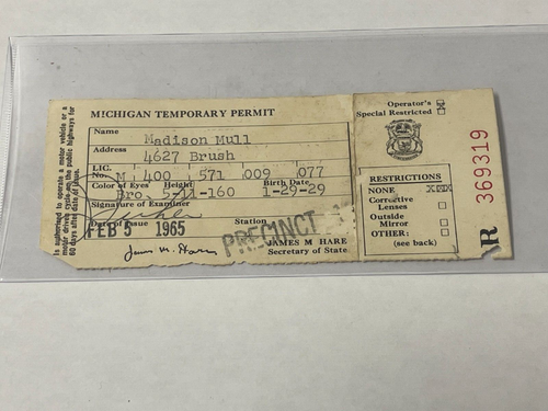 Vintage 1965 Michigan Driver's License Temporary Permit Department of ...